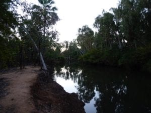 Mataranka Thermal Springs - Crystal Clear Water In The Outback