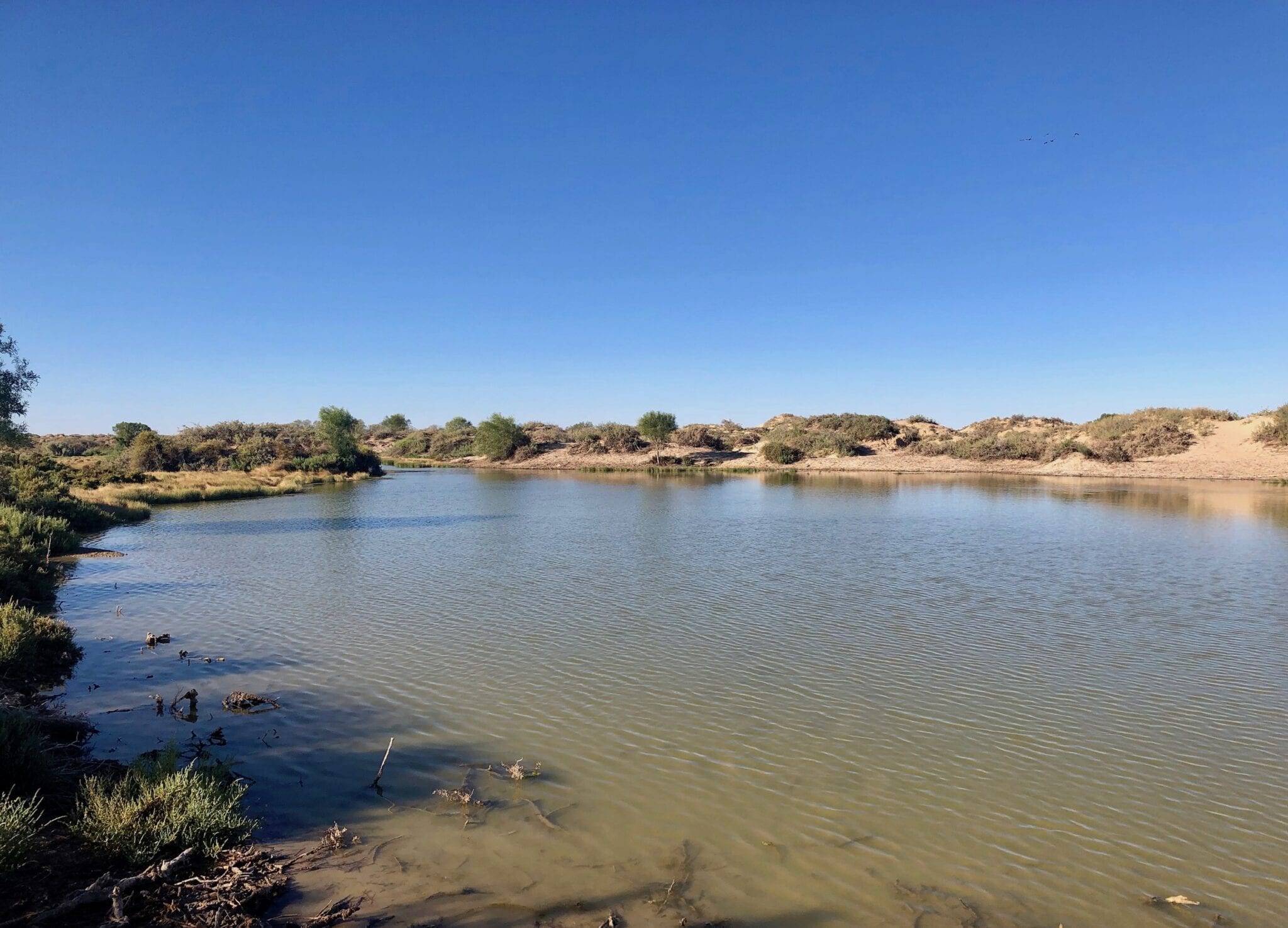 Montecollina Bore, Strzelecki Track - Once An Ideal Bush Camp