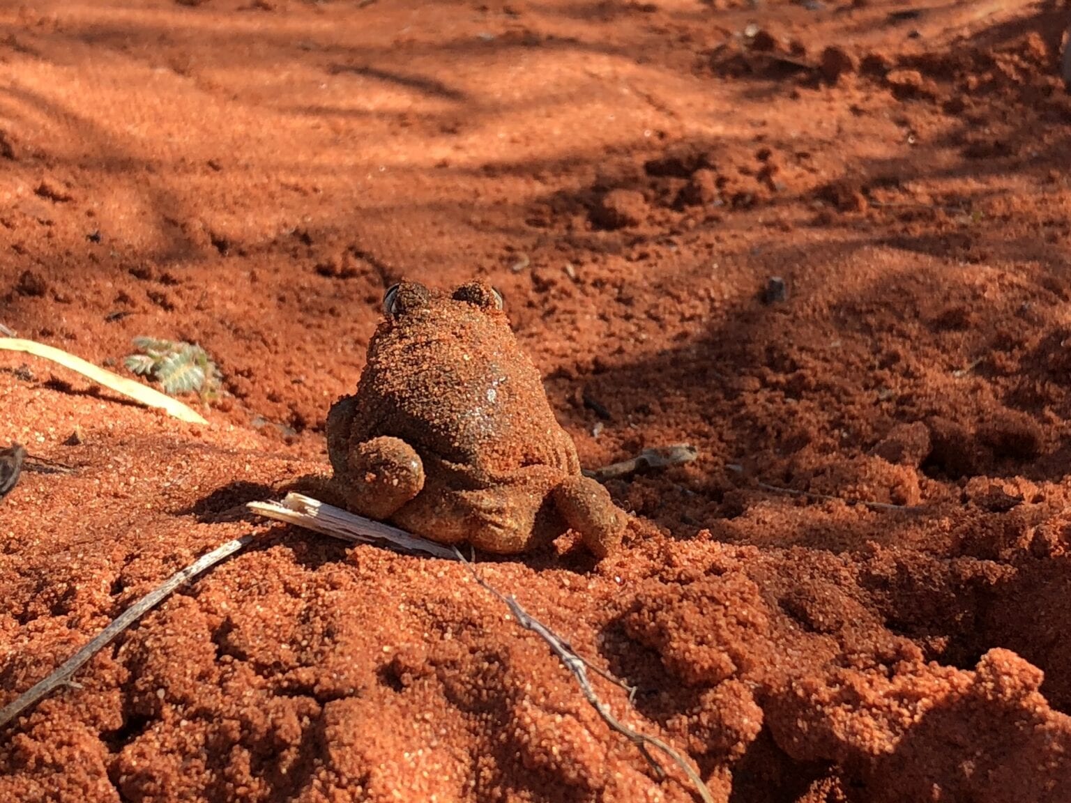 The Outback - Answering Your Questions About Australia’s Vast Interior