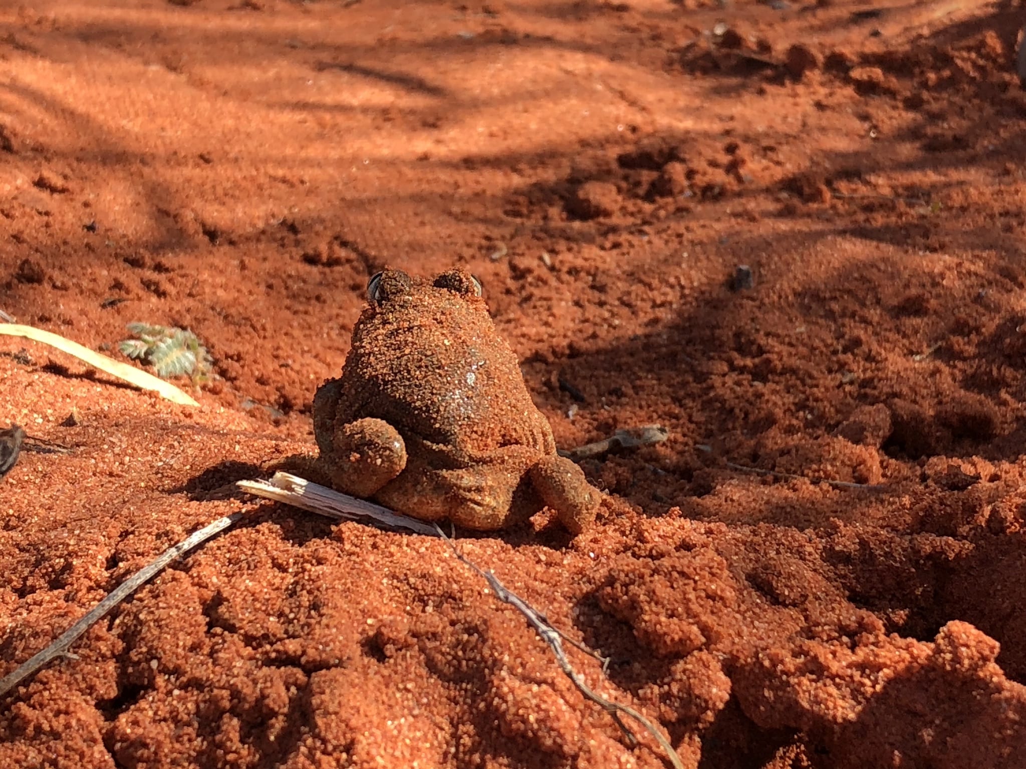 The Outback - Answering Your Questions About Australia’s Vast Interior